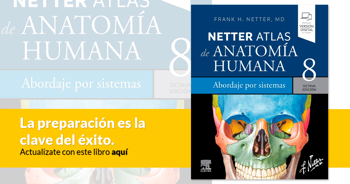 Libro Netter Atlas de anatomía humana Abordaje por sistemas 8a Edición ...