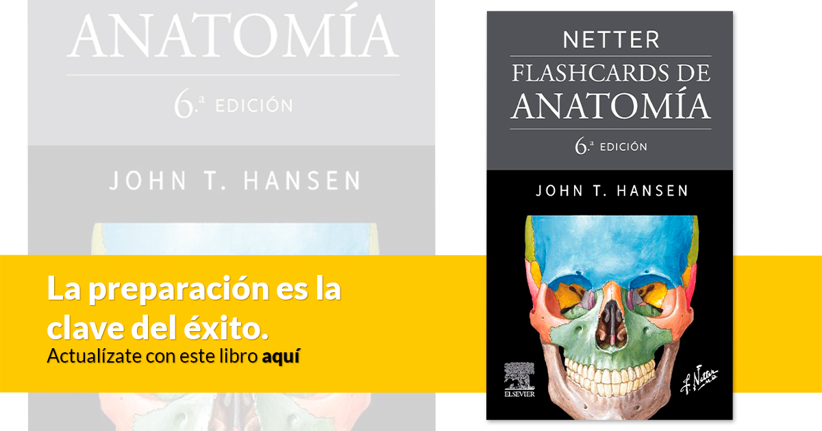 Libro Netter Flashcards de anatomía 6a Edición en Campus
